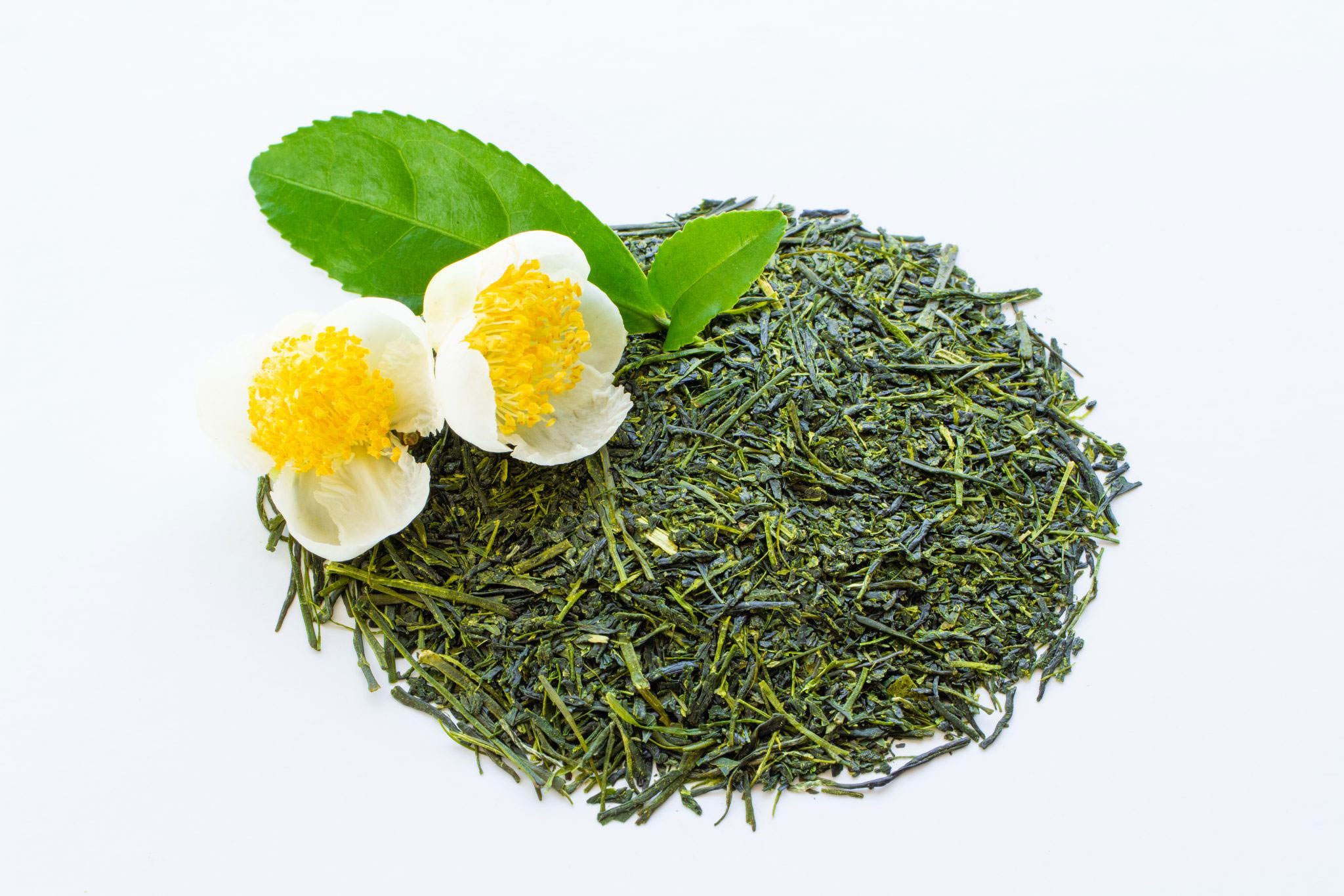 What is Tea? Everything You Need to Know - Zojirushi Food & Culture Blog
