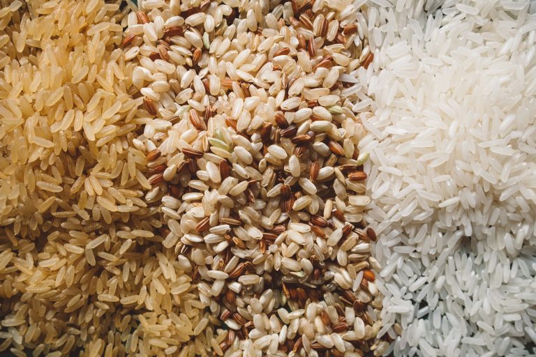 A Guide to Different Types of Rice - Zojirushi Food & Culture Blog